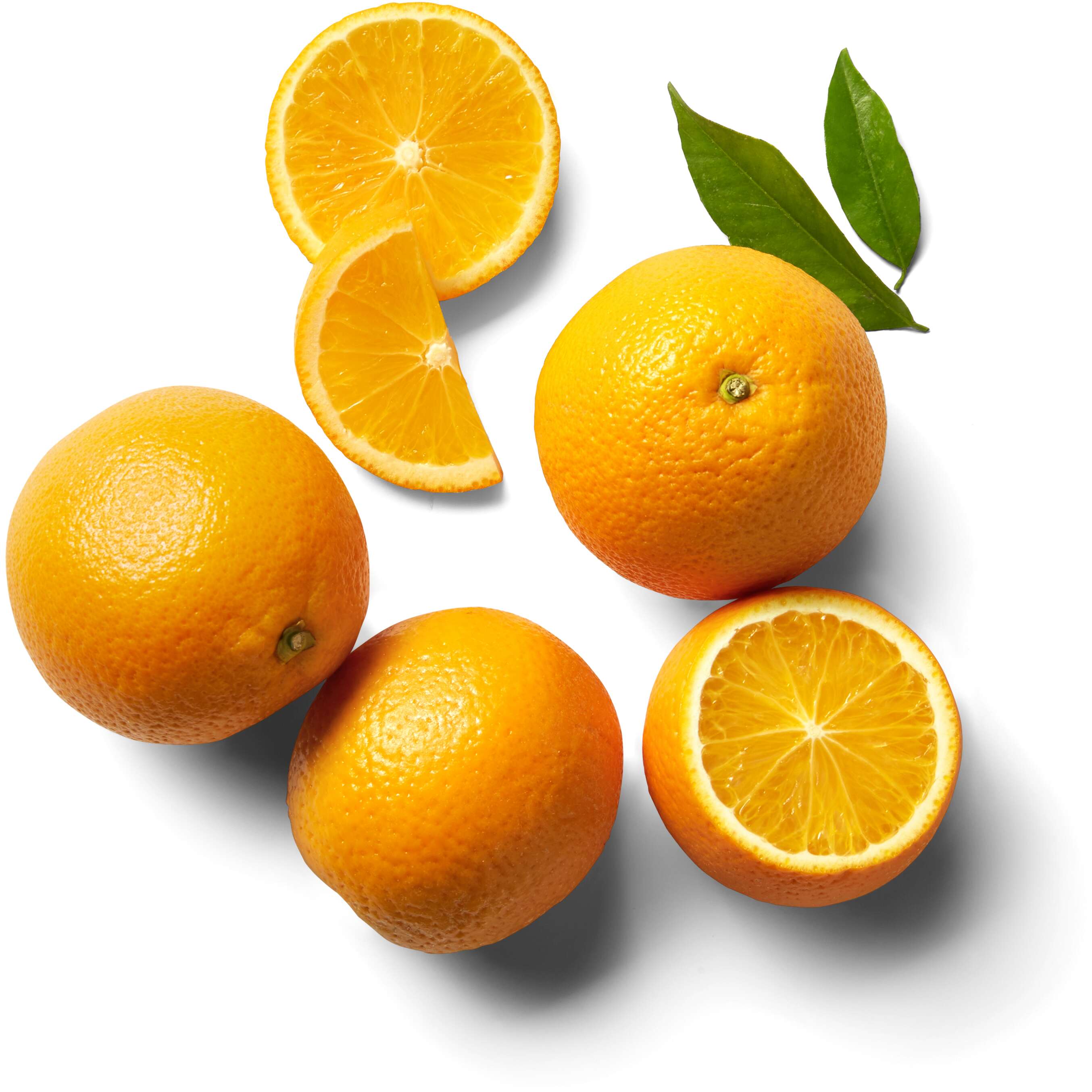 Предложения, Pецепты, Новинки | Kaufland